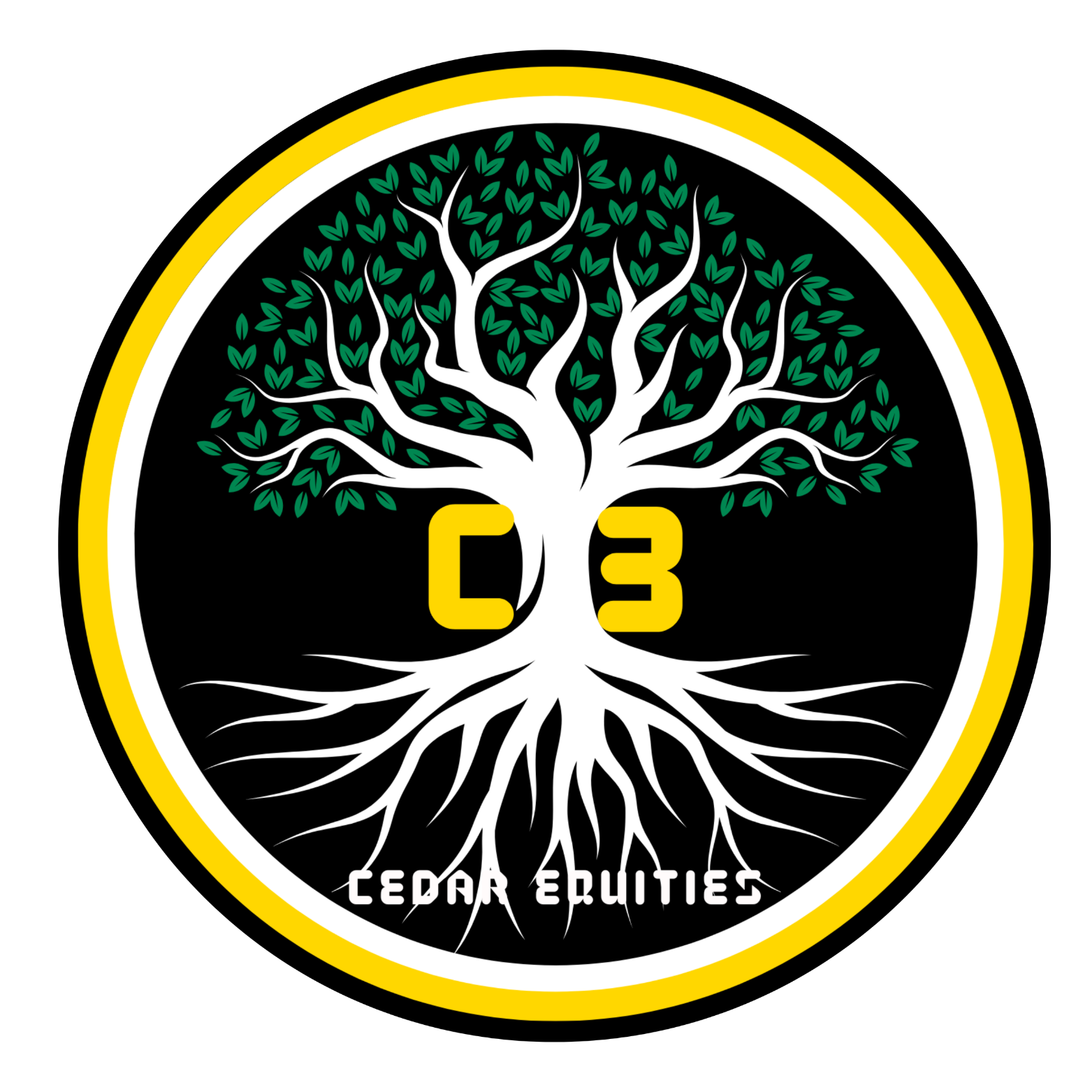 Community Impact & Legacy Projects - Cedar Equities